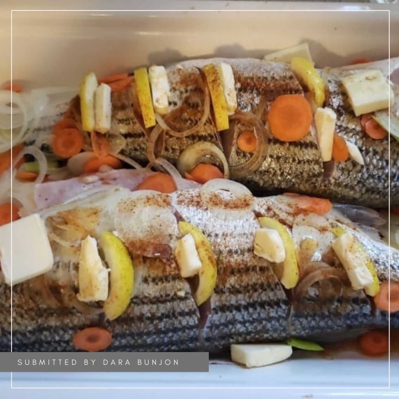 Grilling Up the Catch: How to Catch and Cook a Rockfish - Women's Daily ...